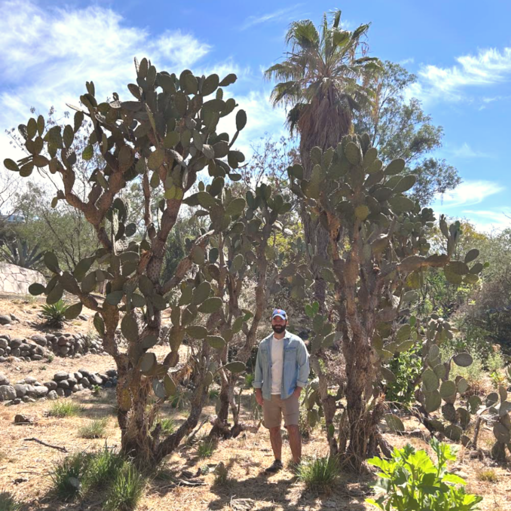 Fellow Program - English Language Programs